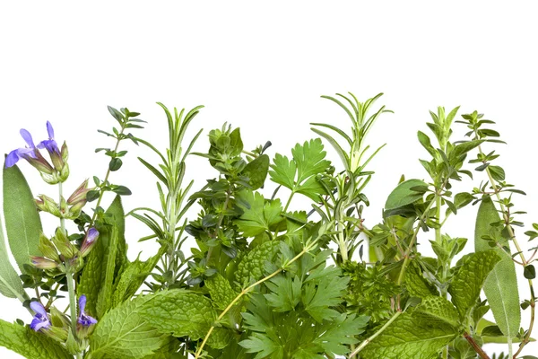 Herb border Stock Photos, Royalty Free Herb border Images | Depositphotos