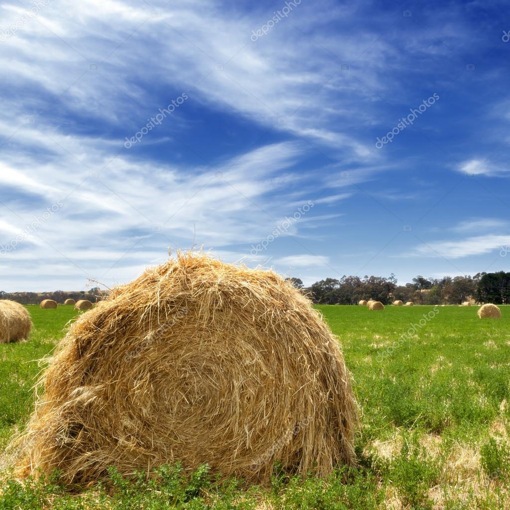 Hay Bales Stock Photo by ©robynmac 38067833