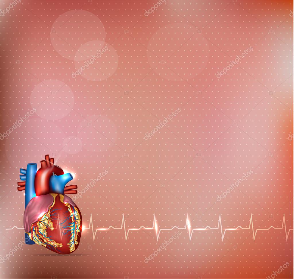 Cardiology background Stock Vector Image by ©megija #39707319