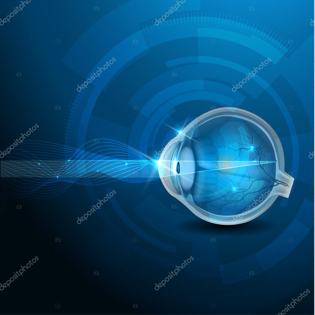 Visión del ojo humano Vector de stock por ©megija 40856297