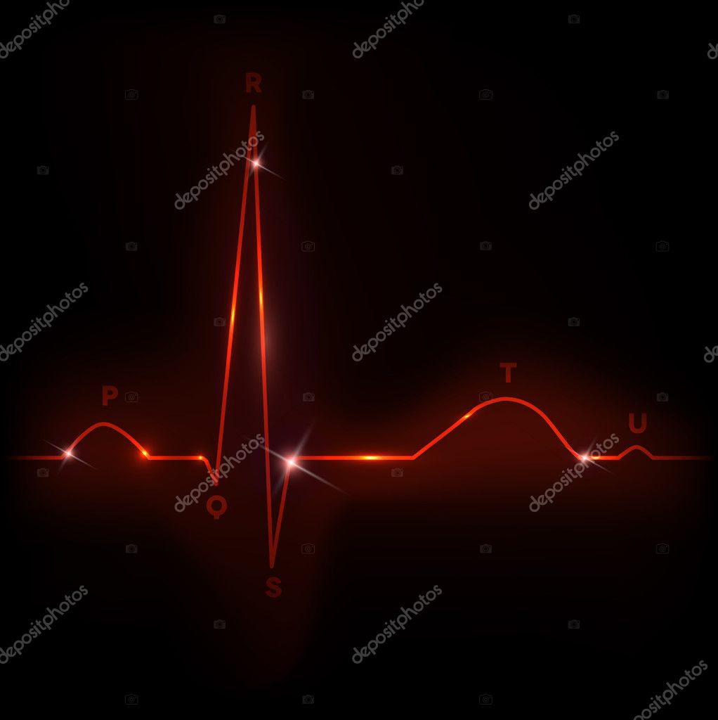 Normal heart cardiogram Stock Vector Image by ©megija #41217157