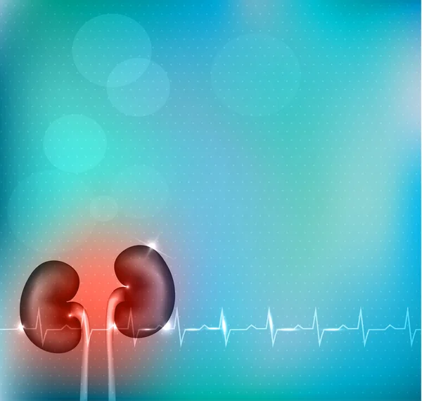 Renal background Stock Vectors, Royalty Free Renal background ...