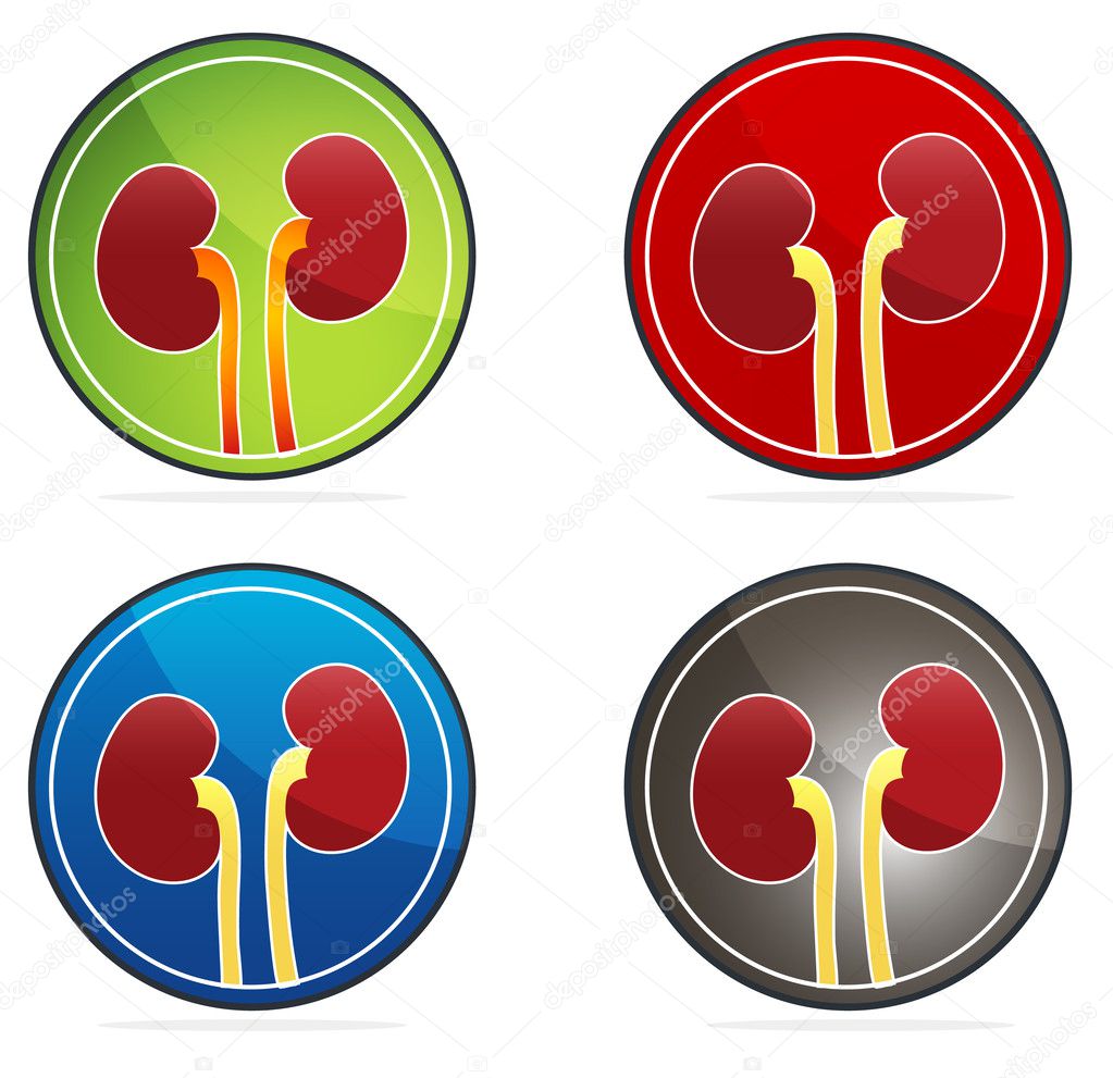 Kidneys icon set, colorful design set. Stock Vector by ©megija 46702963