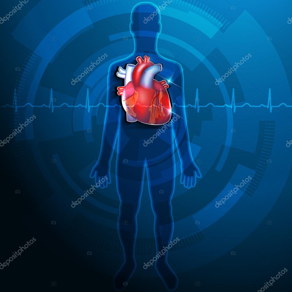 Menneskelig Hjerte Silhuett Vektor An Abstract Vector Icon Of A