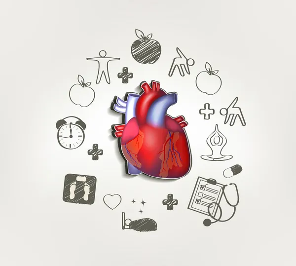 Corazon sano imágenes de stock de arte vectorial | Depositphotos