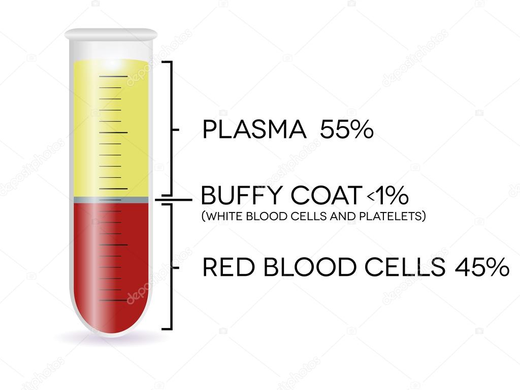 Test tube with blood cells Stock Vector Image by ©megija #50056847