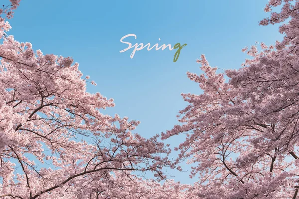 So spring images libres de droit, photos de So spring | Depositphotos