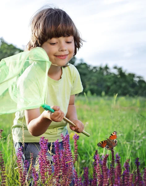 Child catching insects Stock Photos, Royalty Free Child catching ...