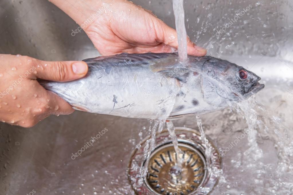 Washing Mackerel Tuna Fish — Stock Photo © akulamatiau #39038115