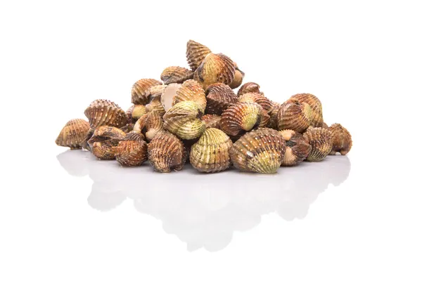 Cockles Stock Photos, Royalty Free Cockles Images | Depositphotos