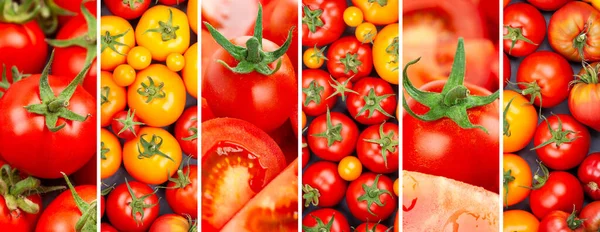 Collage de tomate Stock Photos, Royalty Free Collage de tomate Images ...