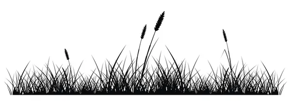 Silhouette of grass — Stock Vector © in8finity #25673527 Silhouette of grass — Stock Vector © in8finity #25673527