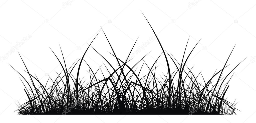 Grass silhouette Stock Vector by ©in8finity 25657153 Grass silhouette Stock Vector by ©in8finity 25657153