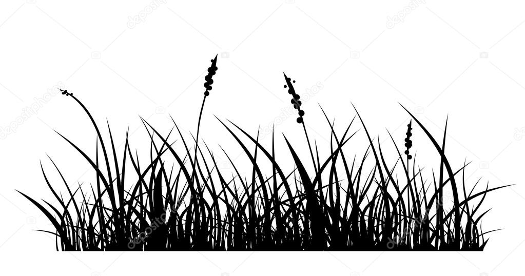 Silhouette of grass — Stock Vector © in8finity #25673527 Silhouette of grass — Stock Vector © in8finity #25673527