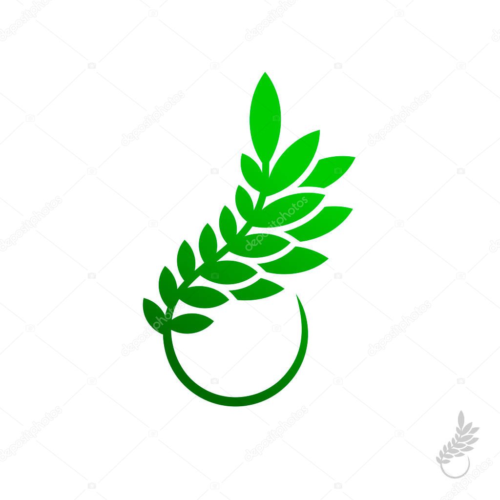 Ramas floral vector logotipo plantilla de diseño. Símbolo gráfico para ...