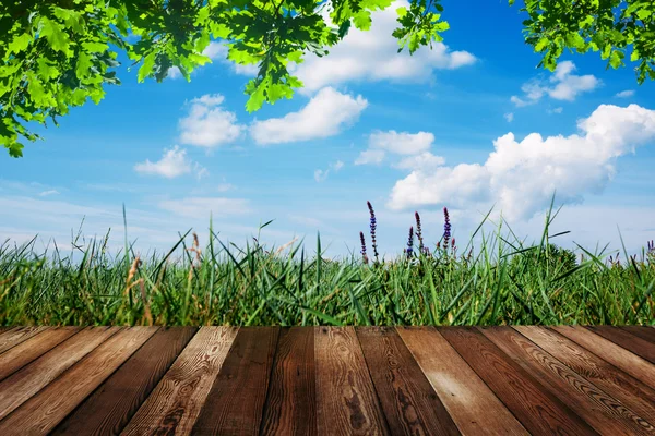 Summer garden background Stock Photo by ©varuna 42626165