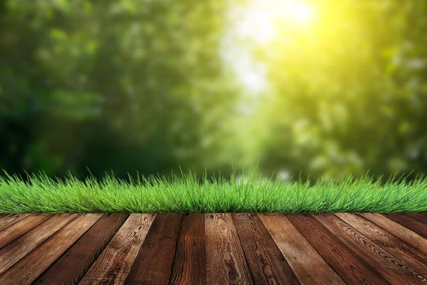 Fotos de Fondo jardín, Imágenes de Fondo jardín ⬇ Descargar | Depositphotos