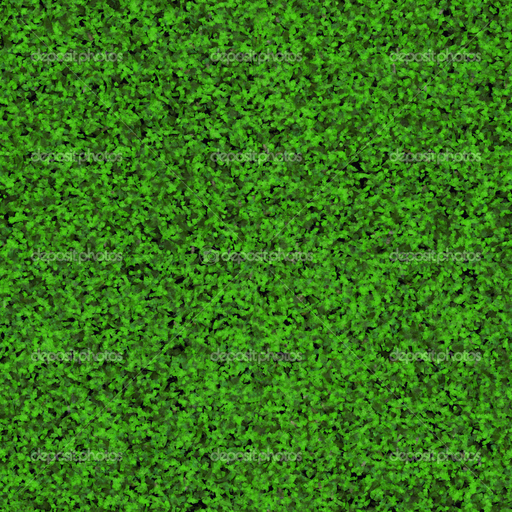 Seamless Dark Grass Texture
