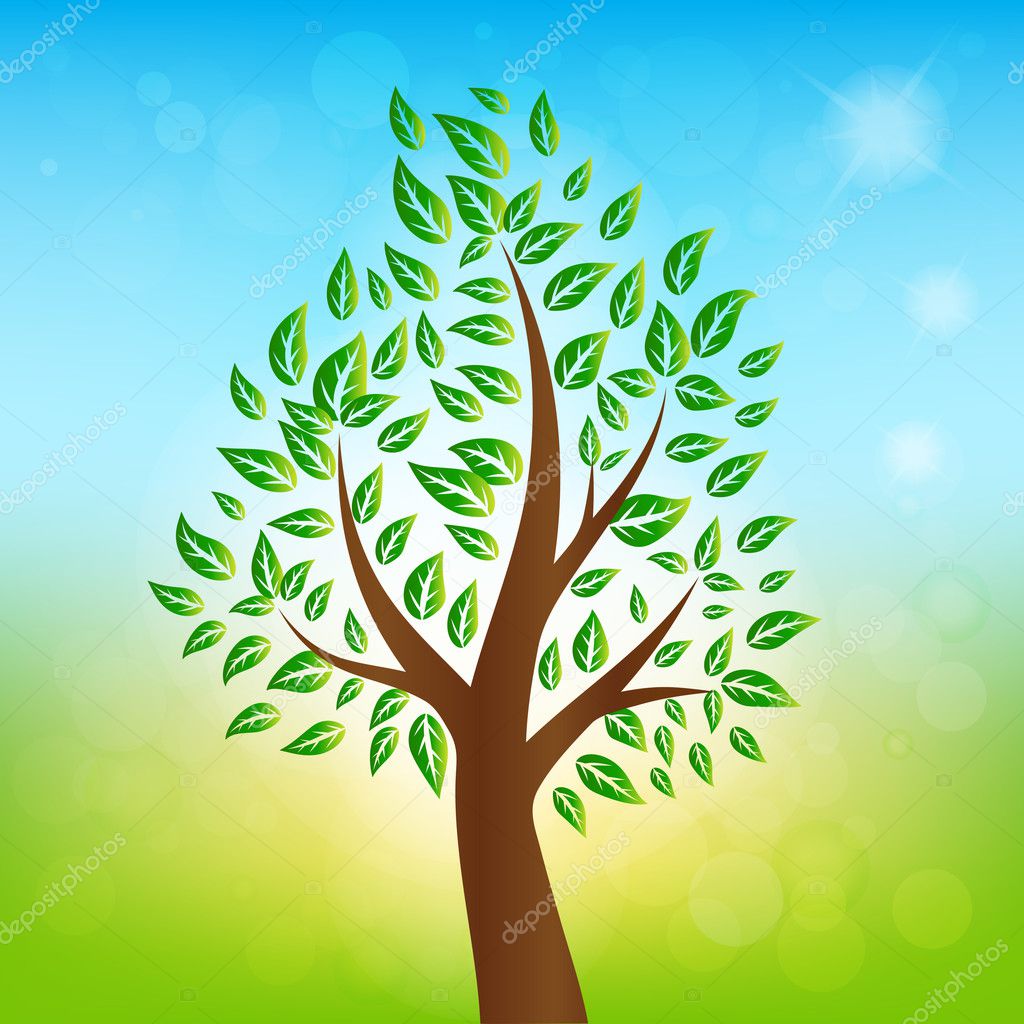 Green spring tree Stock Vector Image by ©varuna #42831923