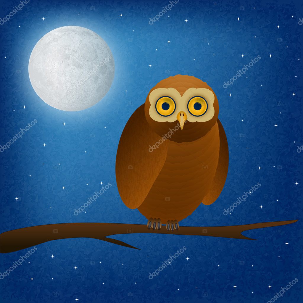 Owl at night Stock Vector by ©varuna 42832101
