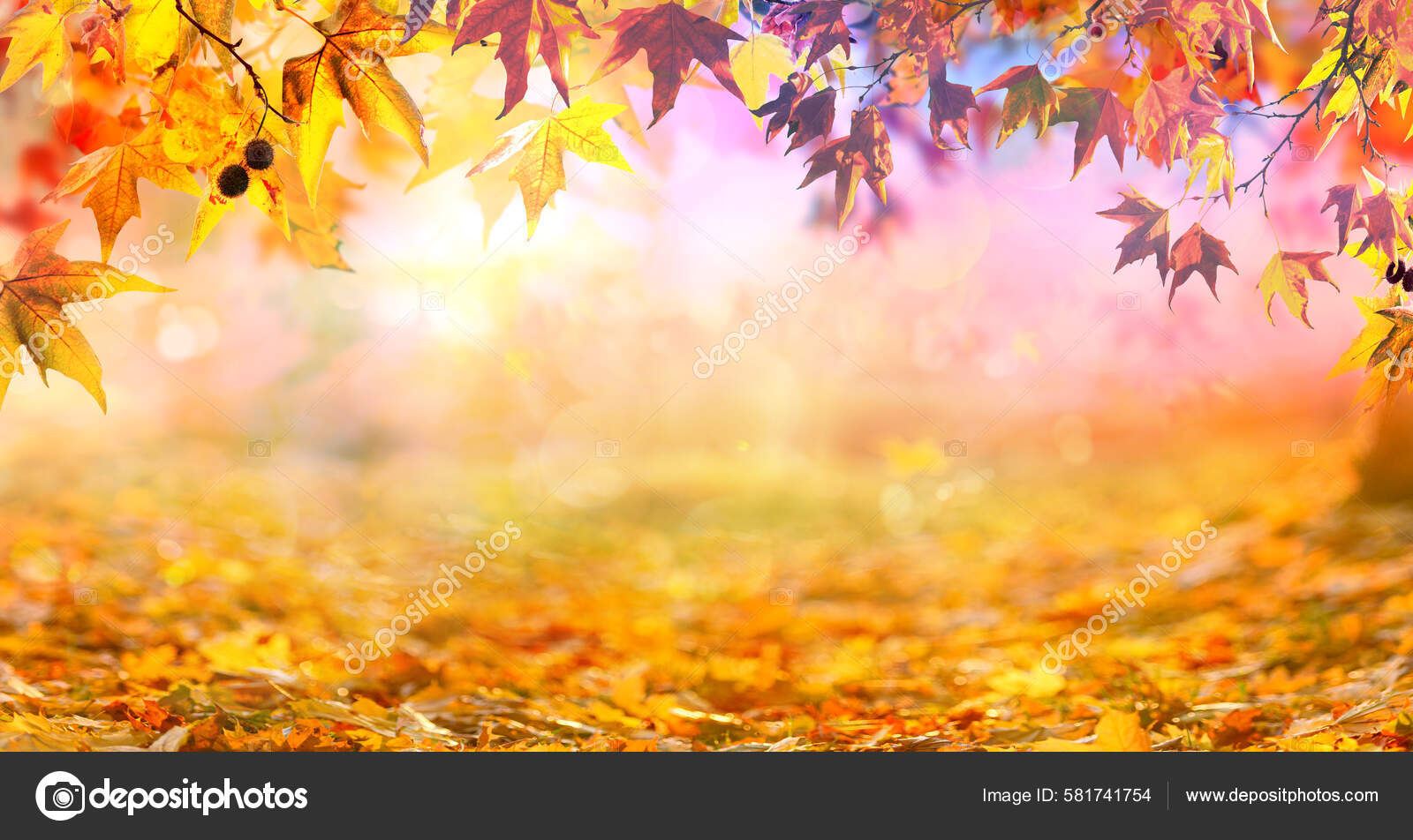 Orange Fall Leaves Park Golden Autumn Natural Background — Stock Photo ...