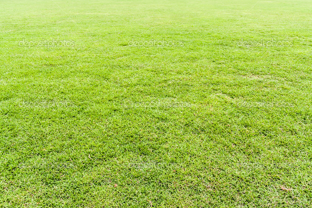 Seamless grass field — Stock Photo © atthapols #30648965