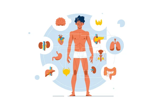 Human body anatomy and structure vector illustration. Visual scheme of ...