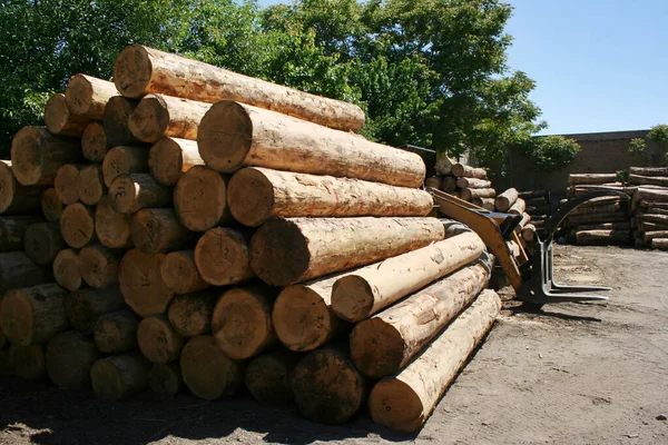 Indian timber demand Stock Photos, Royalty Free Indian timber demand ...