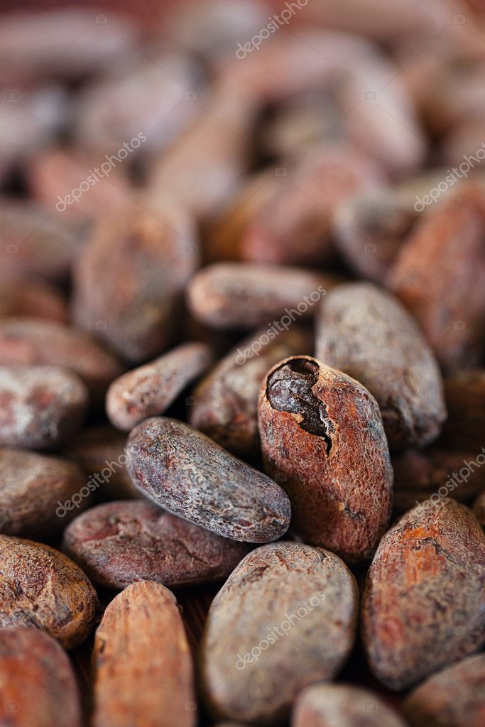 Roasted cocoa beans macro background Stock Photo by ©lvenks 25278885