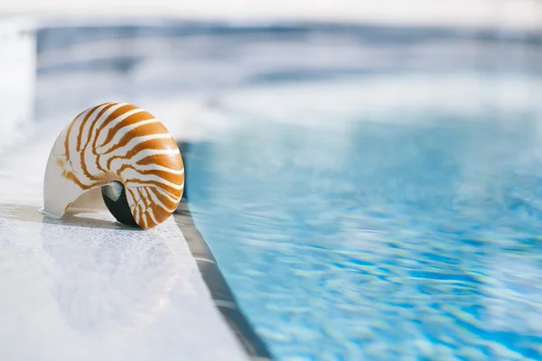 Nautilus shell at resort swimming pool edge Stock Photo by ©lvenks 54797391