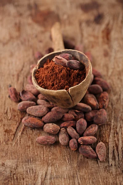 Cocoa powder in spoon on roasted cocoa chocolate beans backgroun ...