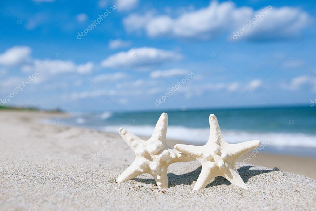 Two Starfish On Beach