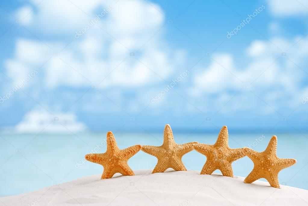 Rare Starfish