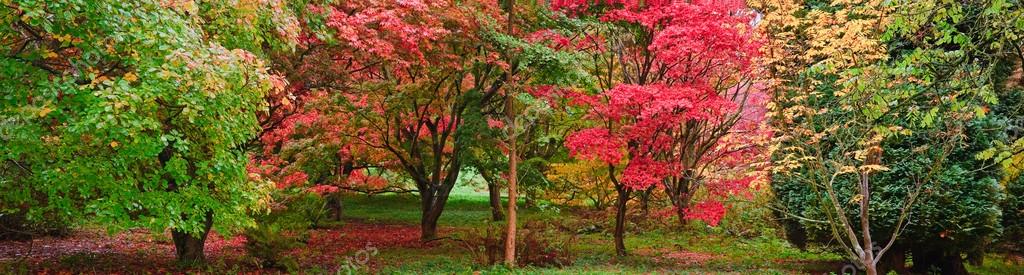 Doğa görüntü Stock Photos, Royalty Free Doğa görüntü Images | Depositphotos