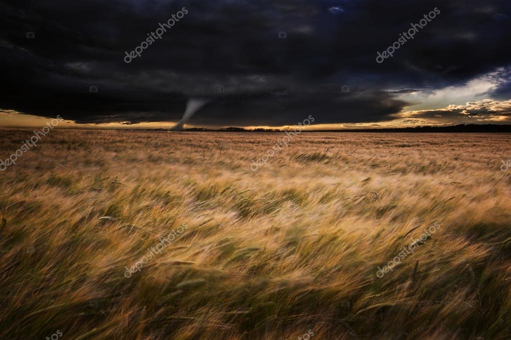 Tornado twister over fields in Summer storm — Stock Photo © Veneratio ...