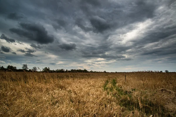 Stormy sky landscape Stock Photos, Royalty Free Stormy sky landscape ...