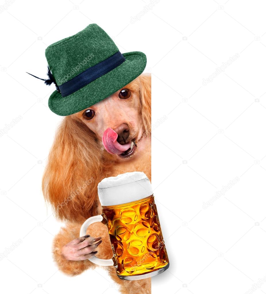 Perro con una taza de cerveza, sonriendo feliz detr s de un cartel 2024