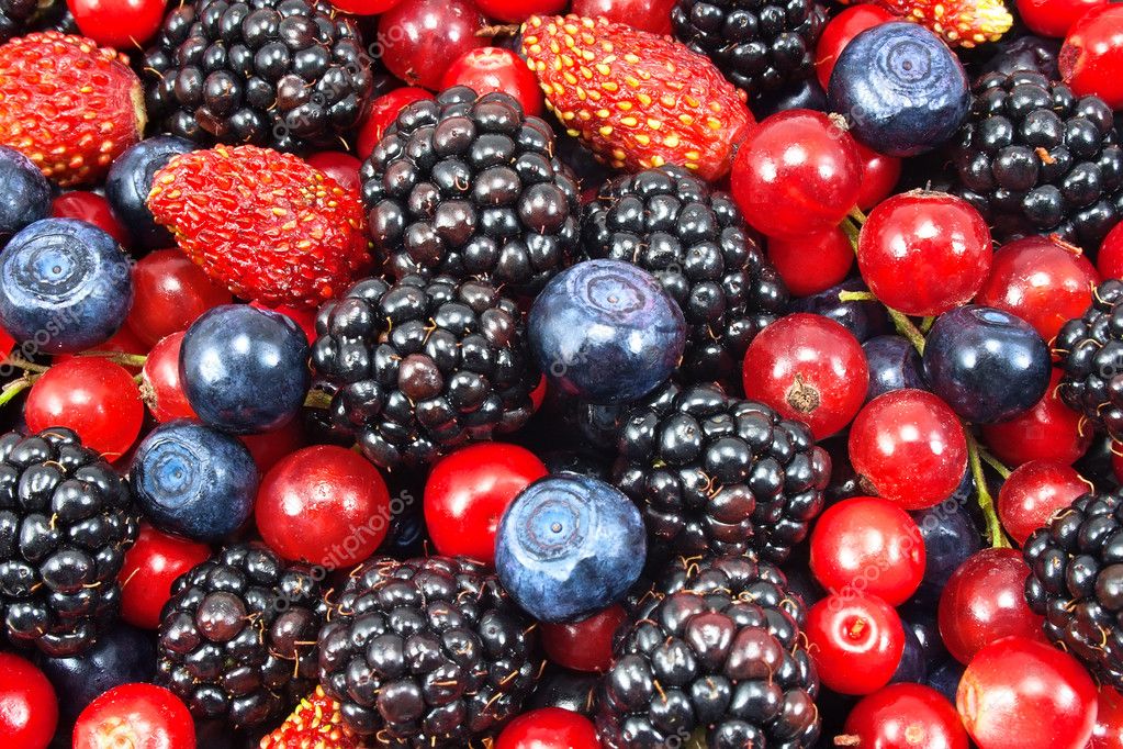 Different fresh berries as background Stock Photo by ©Preto_perola 13293845