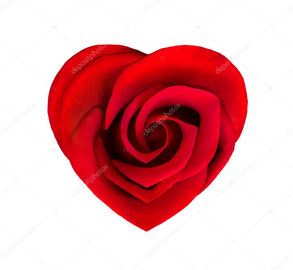 Rosa Roja en forma de corazón. Rosa roja en forma de corazón aislada ...