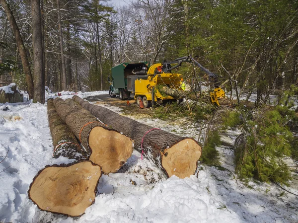 Tree chipper Stock Photos, Royalty Free Tree chipper Images ...
