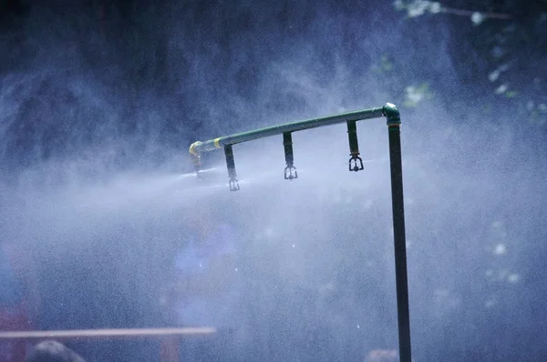 Boxing Ring Spotlit Dark — Stock Photo © albund #54143901