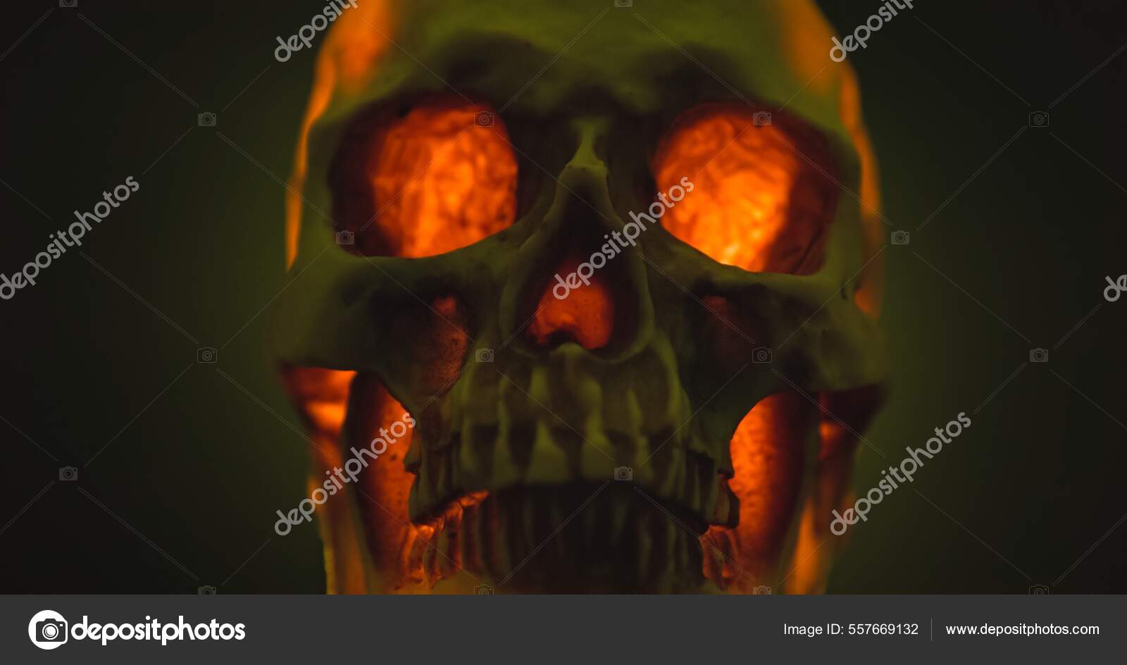 Skull Colored Lighting Loop Close — Stock Photo © svedoliver #557669132