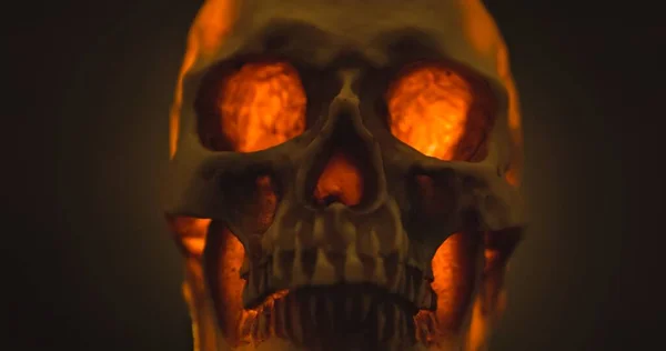 Skeleton Scary Skull