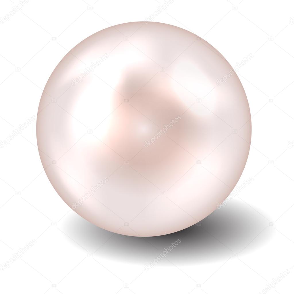 Pearl vector illustration — Stock Vector © Yganko #16893863