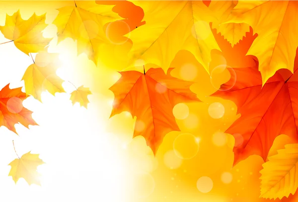 Autumn sun Stock Vectors, Royalty Free Autumn sun Illustrations ...