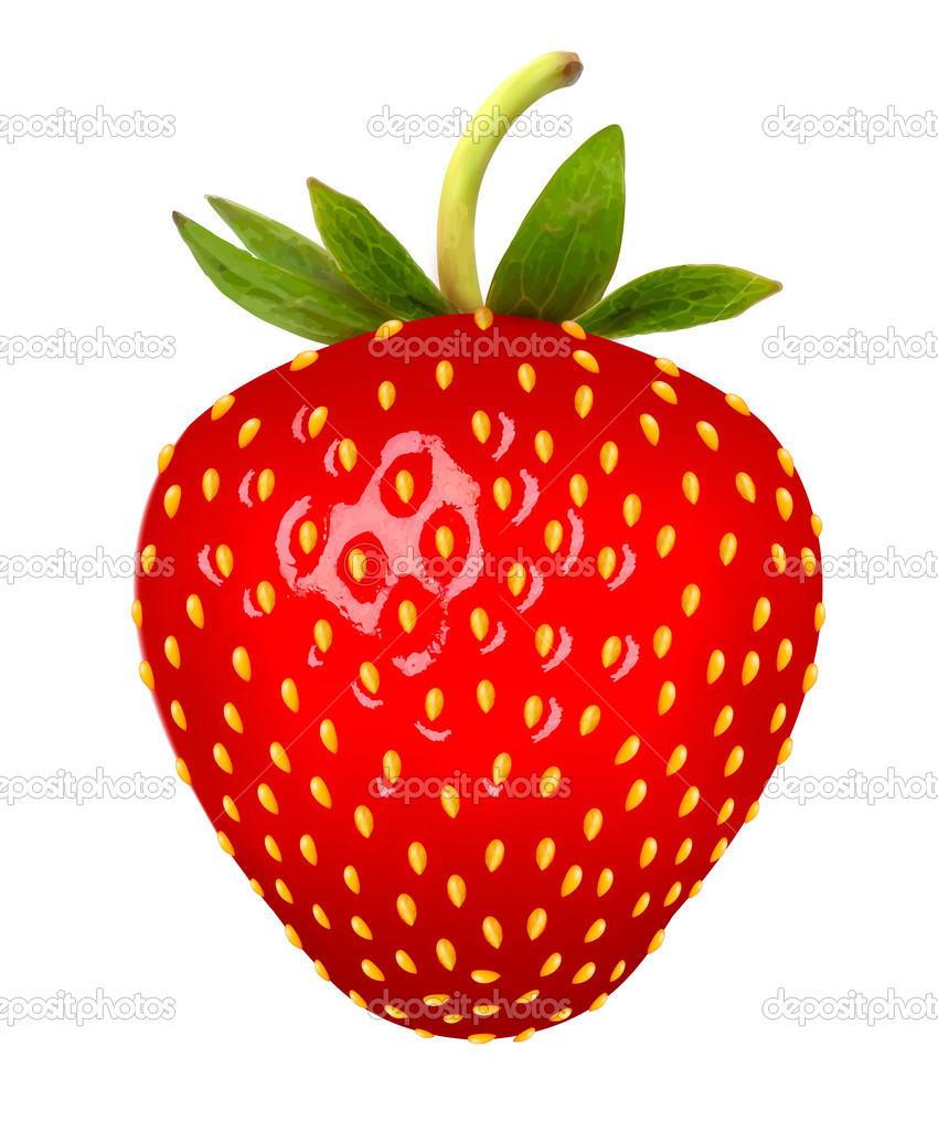 Strawberry. Vector. — Stock Vector © almoond #29811383 Strawberry. Vector. — Stock Vector © almoond #29811383