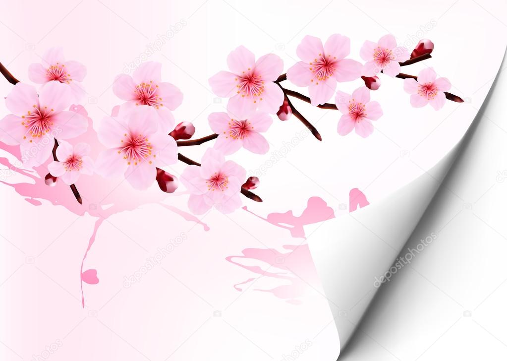 Spring background with a blossoming sakura branch. Vector illust Stock ...
