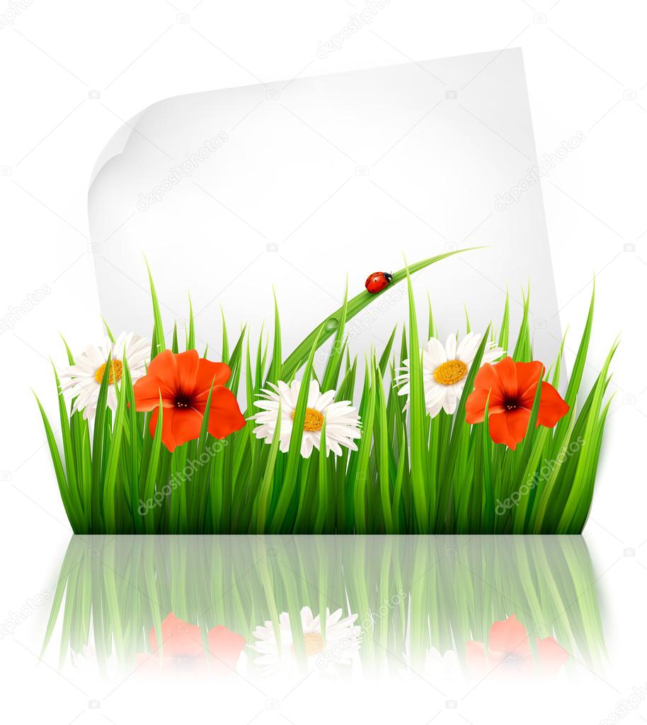 Nature background with grass and a sheet of paper. Vector. Stock Vector ...
