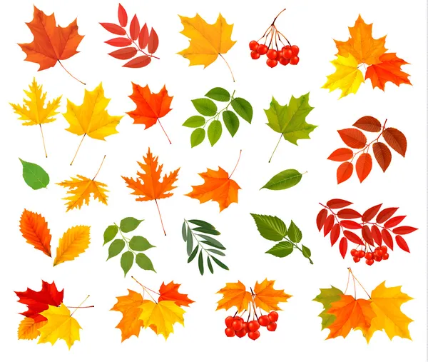 Falling Autumn Leaves Clip Art