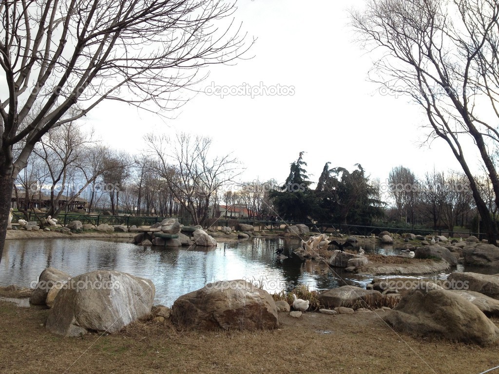 Landscape of Bursa Zoo — Stock Editorial Photo © EnginKorkmaz #28284595